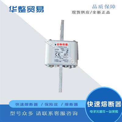 巴斯曼全新原装正品快速熔断器保险丝 型号170M5168