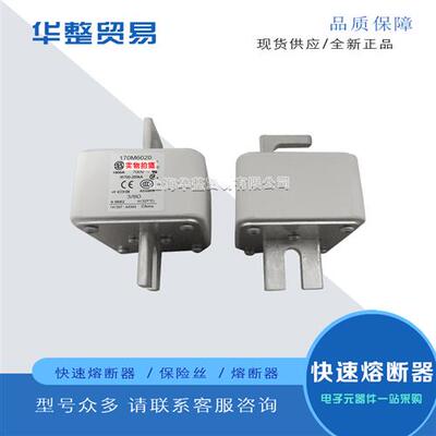 巴斯曼全新原装快速熔断器170M6063 170M6064 170M6065 170M6066