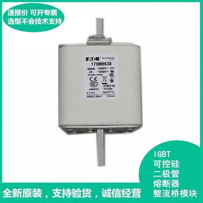 螺旋式熔断器170M8636 8637 8638 8639 8640 8641 8642 8643全新