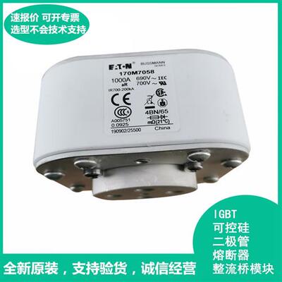 170M7058全新现货直销170M7059巴斯曼电子保险丝熔断器170M7060