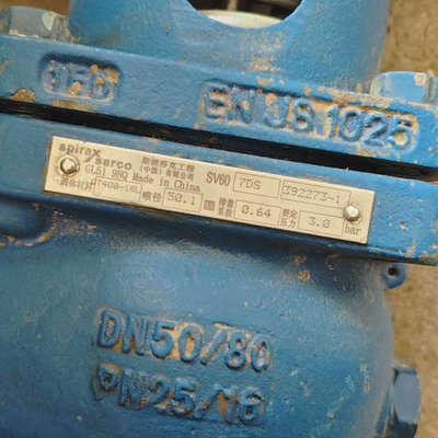 斯派莎克安全阀SV607DS 球墨铸铁 DN50 PN25法.询价