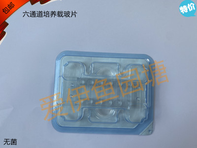 六通道培养载玻片 80606  ibidi