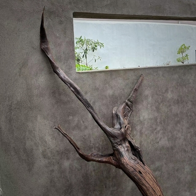 沉水木树根自然分叉老木头风化木朽木摆件空间装饰侘寂风木头