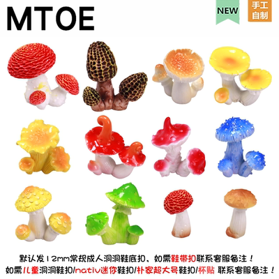 3D七彩云南洞洞鞋配饰diy