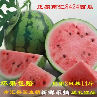上海南汇头藤8424西瓜新鲜水果