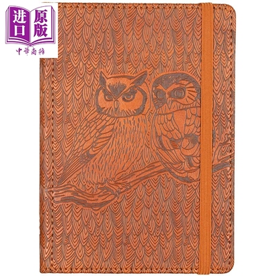 预售 猫头鹰匠制日记 英文原版 Owls Artisan Journal Diary Notebook Peter Pauper Press Inc【中商原版】
