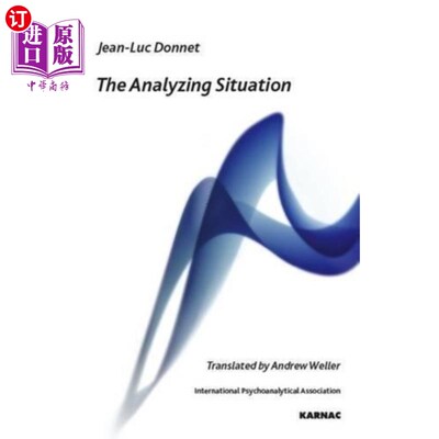 海外直订Analyzing Situation 分析情况