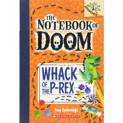 现货TheNotebookofD