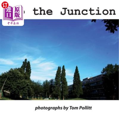 海外直订Up the junction 在交叉路口
