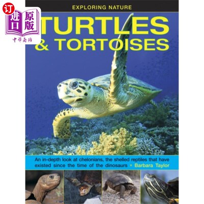 海外直订Exploring Nature: Turtles & Tortoises 探索自然:乌龟和陆龟