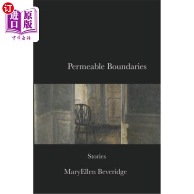 海外直订Permeable Boundaries 透水边界