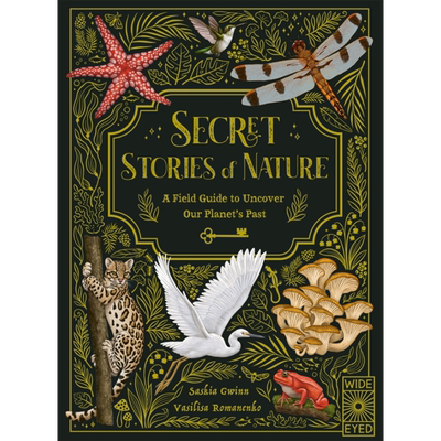 Vasilisa Romanenko：Secret Stories of Nature 自然的秘密 英文原版 进口图书 儿童科普绘本 少儿百科知识图书【中商原版】