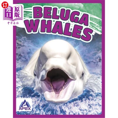海外直订Beluga Whales 白鲸