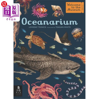 海外直订Oceanarium: Welcome to the Museum 海洋馆:欢迎来到博物馆