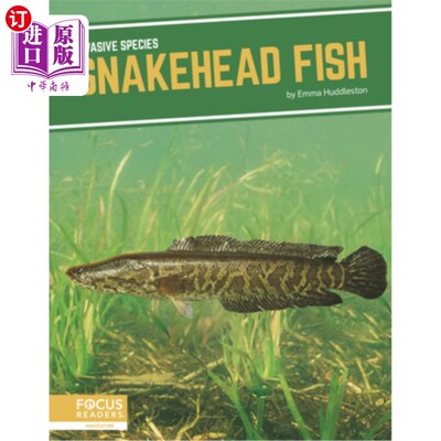 海外直订Snakehead Fish 黑鱼鱼
