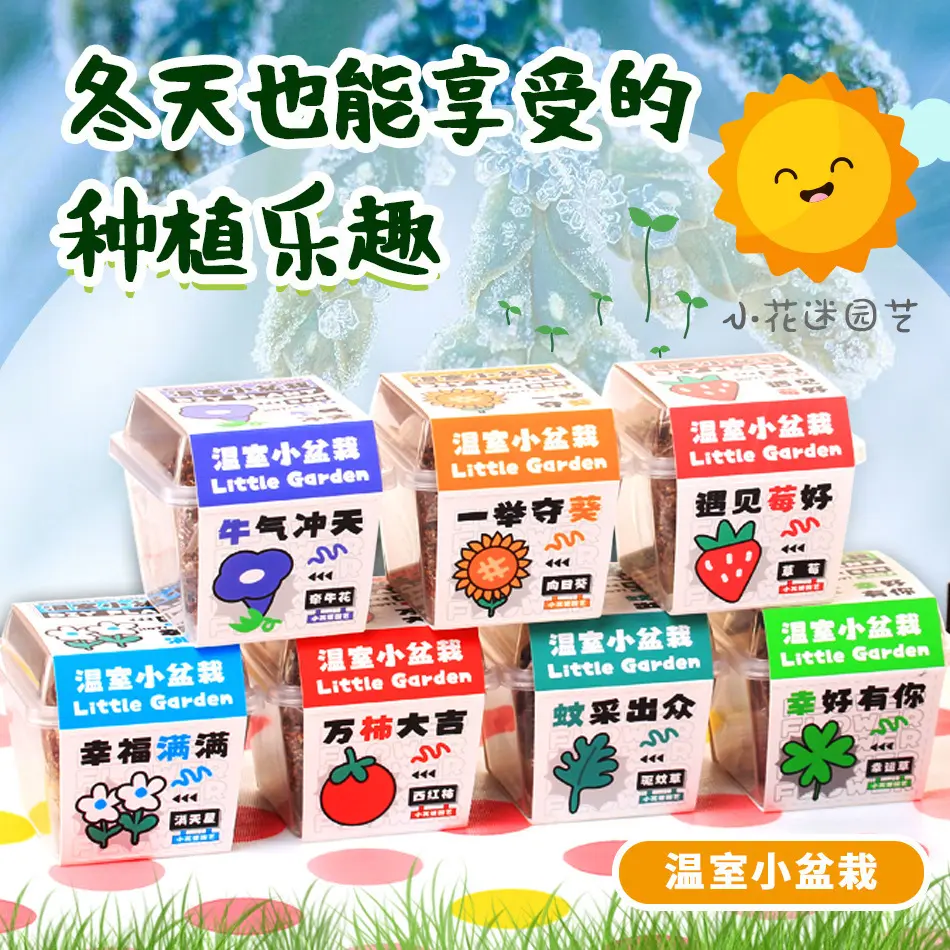 少儿种植温室小盆栽幼儿园礼物diy手工桌面摆件种植观察生长植物