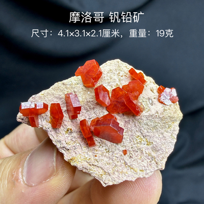 摩洛哥钒铅矿 天然矿物晶体标本矿石原石收藏石头摆件d33