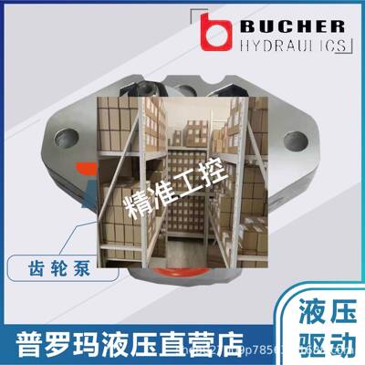 德国布赫BUCHER液压泵齿轮油泵AP05/1.2 D 819 AP0.5/1.6 D 819议