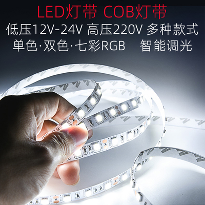 cob七彩双色调光高压220vled灯带