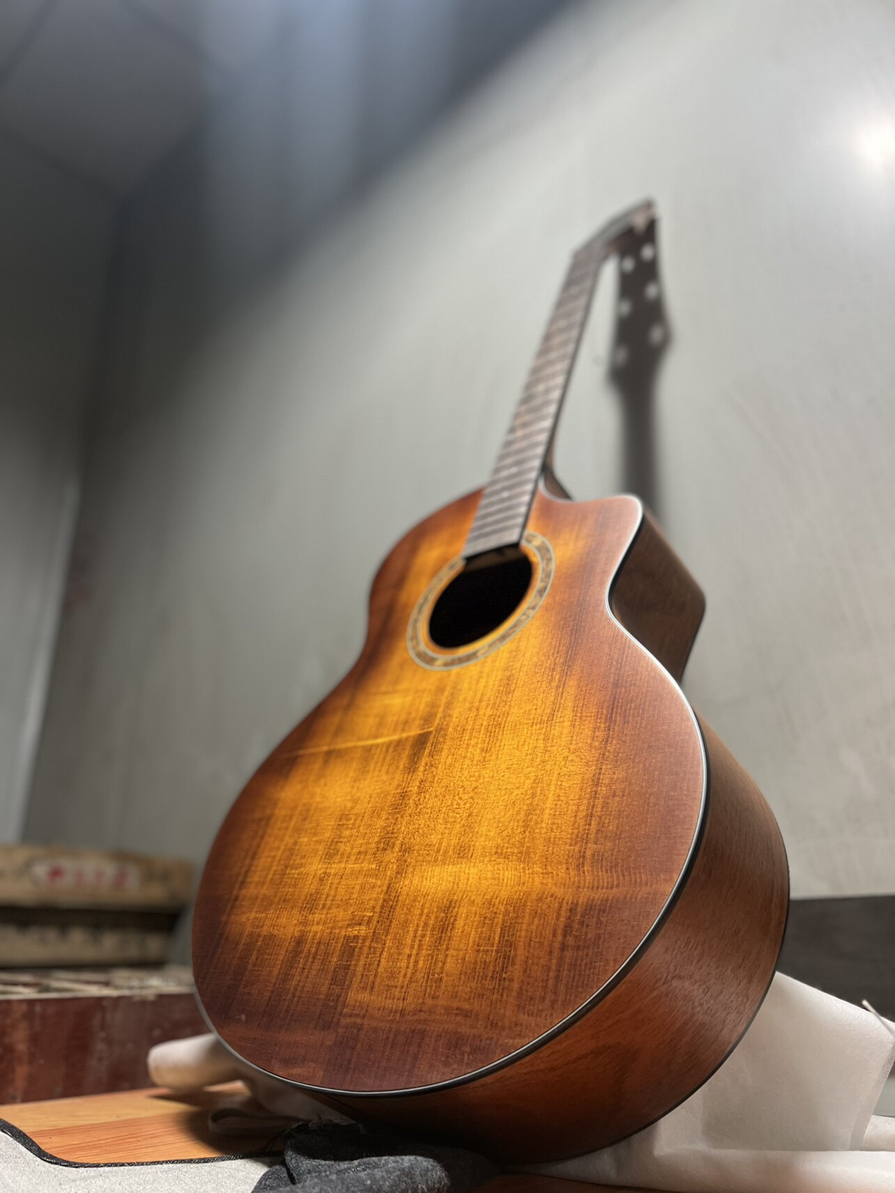 西提卡,西提卡云杉(第6页)_大山谷图库