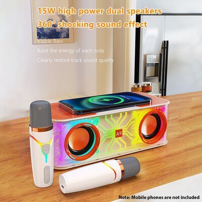 A9 Pro Karaoke Machine Portable Wireless Microphones