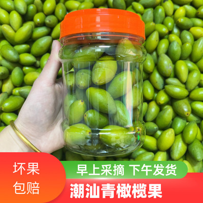 正宗金灶潮汕甜种橄榄甘甜无渣酥脆生吃零食水果青橄榄煲汤泡酒