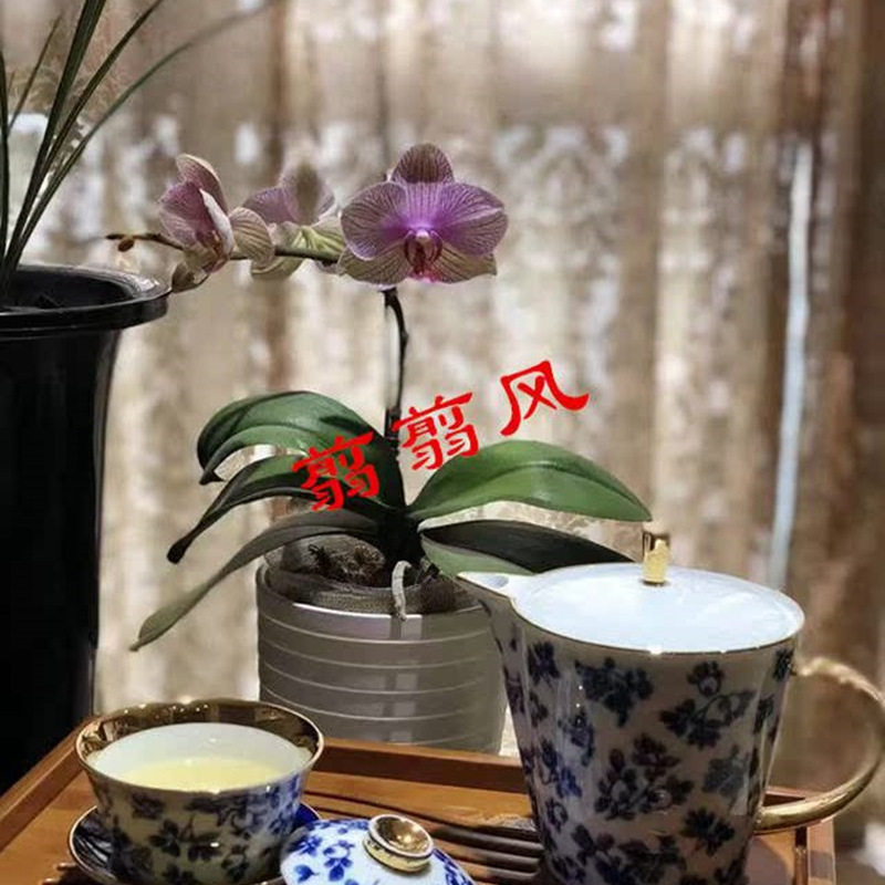 法国Legle丽固茶具进口咖啡杯中式青花早餐杯下午茶具满金茶壶