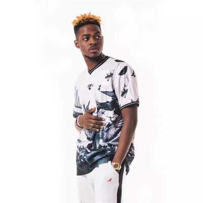 新衣城 STAPLE POLYBASEBALLPIGEON TEE鸽子满印男女情侣短袖T恤