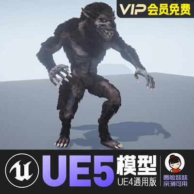 UE5虚幻4_狼人变异狼人动画角色模型Animated Werewolf