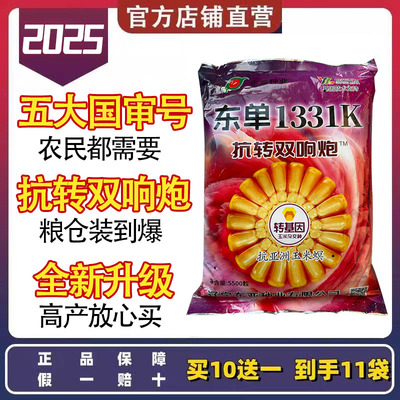 【抗转双响炮】富友东单1331K升级玉米种子高产玉米优质粒大苗壮