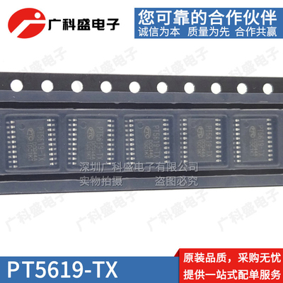 PT5619-TX 贴片TSSOP20 门驱动器芯片ic 全新原装PTC普诚