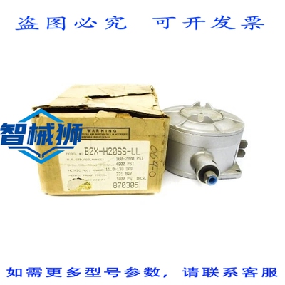 原装供应 BARKSDALE B2X-H20SS-UL 480VAC 10A 160-2000PSI NSMP