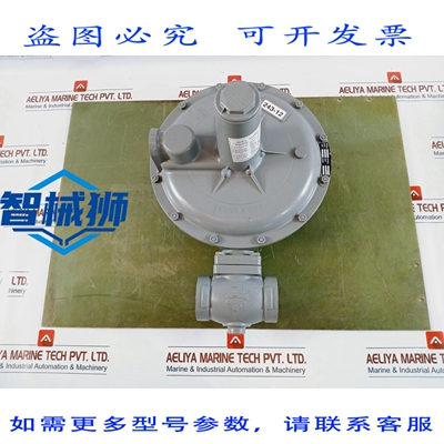 原装供应 Sensus 243-12 RIDUTTORE DI PRESSI IRV TCMT-001