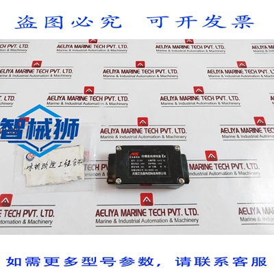 原装供应 SCATOLA DI GIUNZI TERMICA 无锡 EXON EPLWB A PROVA D