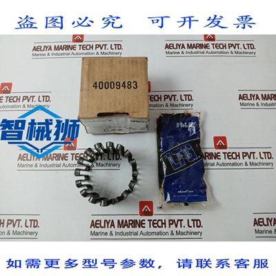 原装供应 FALK 0762813 耦合器 1050T 栅格 10053933
