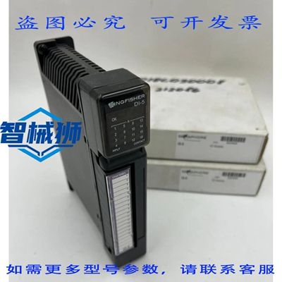 原装供应 SEMAPHORE KINGFISHER PLUS+RTU DI-5 输入输出模块