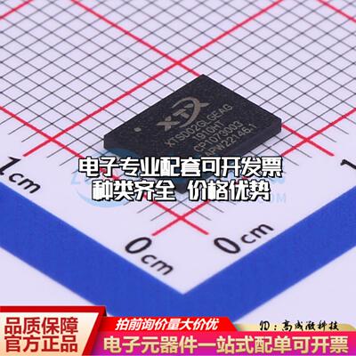 全新正品XTSD02GLGEAG LGA-8(6x8) NAND FLASH质量保证