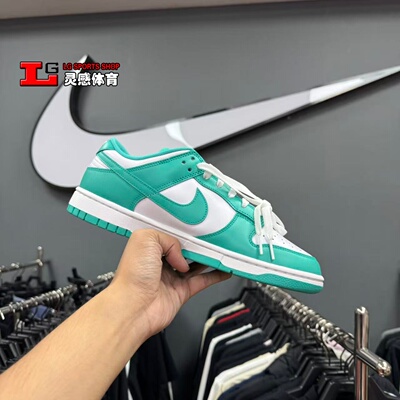 耐克 Nike Dunk 板鞋 休闲鞋 经典复古百搭 男鞋 DV0833-101