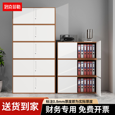 洛克菲勒钢制单节文件柜财务凭证柜子 资料档案铁皮柜办公储物柜