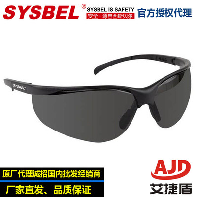 SYSBEL防护眼镜防雾防冲击