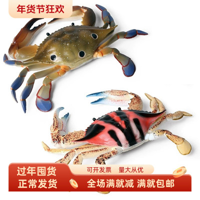 仿真梭子蟹海洋生物陈列摆设道具