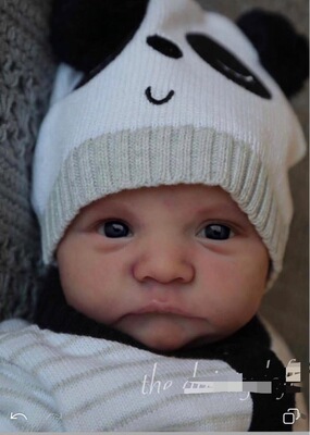 20英寸Levi Awake真婴儿重生娃娃DIY配件 Reborn Doll Kit