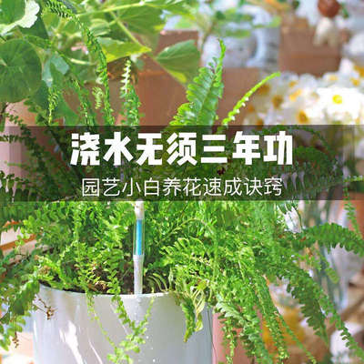花信SUSTEE水分计植物水分计土壤水分湿度检测计浇水神器