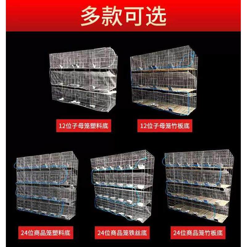 12位加粗加重子母笼塑料底养殖场专用兔笼子繁殖育肥兔子笼家用笼