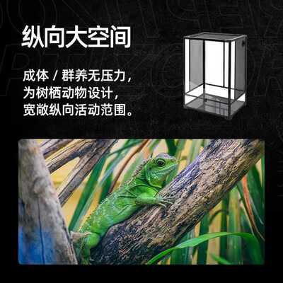 瑞皮Reptizoo树栖饲养箱角蛙睫角守宫鬓狮蜥蜴蛇爬宠虫雨林缸造景