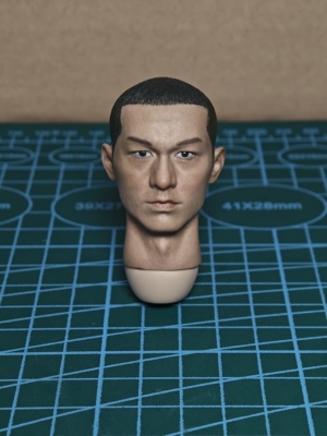 1/6 仪仗队之 陆  头雕 亚洲帅哥 DAM DIY 百搭