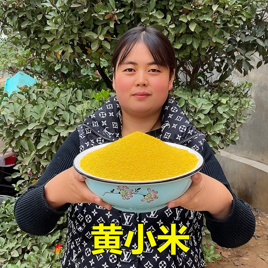 豫乡景辉新鲜黄小米糯小米小黄米颗粒饱满五谷杂粮煮粥养胃4斤