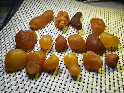 全皮海漂脑纹琥珀蜜蜡原石