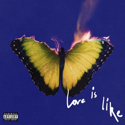 原装进口 Maroon5魔力红 Love Is Like爱像什么 蓝胶LP黑胶唱片