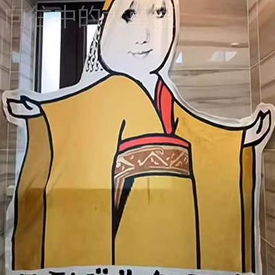 新品见到朕为何不跪毛毯龙图毯子空调毯龙玉涛表情包办公室午睡法